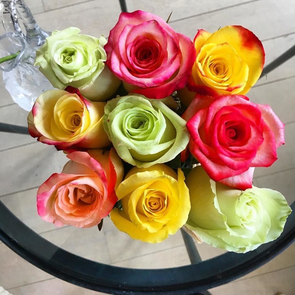 Aujourd’hui voici les roses du jardin et pourtant Le vendredi c’est ...